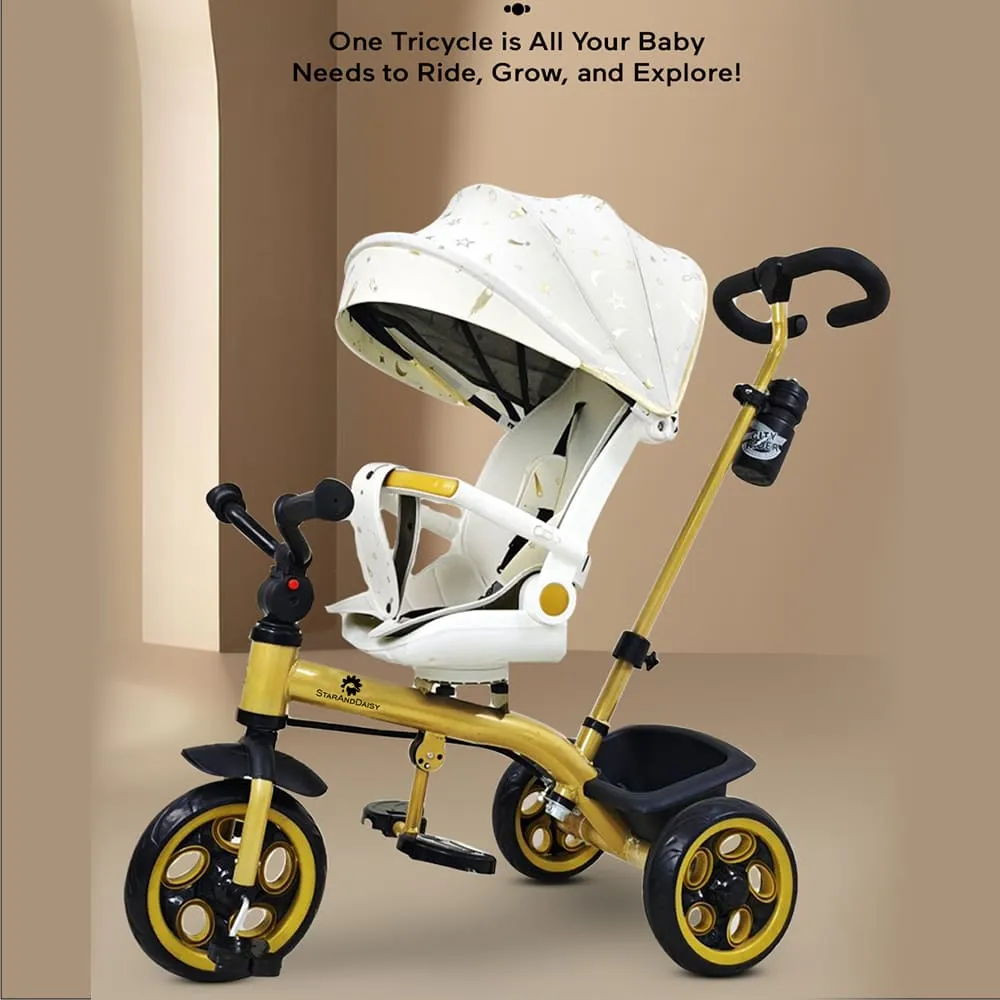 Tricycle for Kids with Parental Handle Online at StarAndDaisy